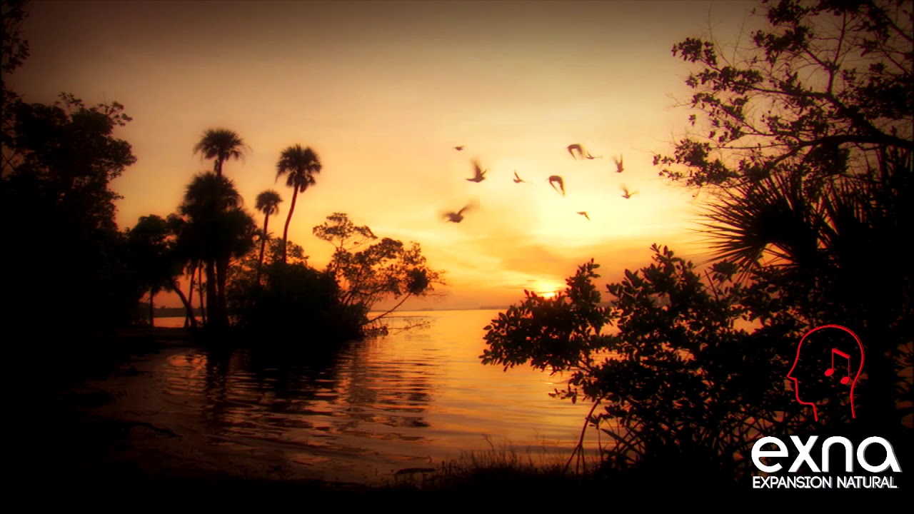 (EXNA) Expansion Natural 1 hour relaxing sounds ( RIVER SUNSET ) - YouTube