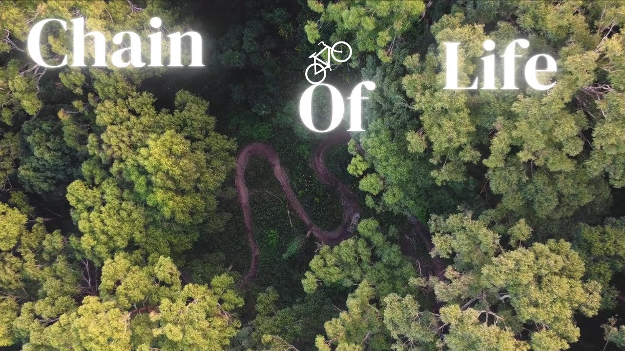 The chain of life - YouTube