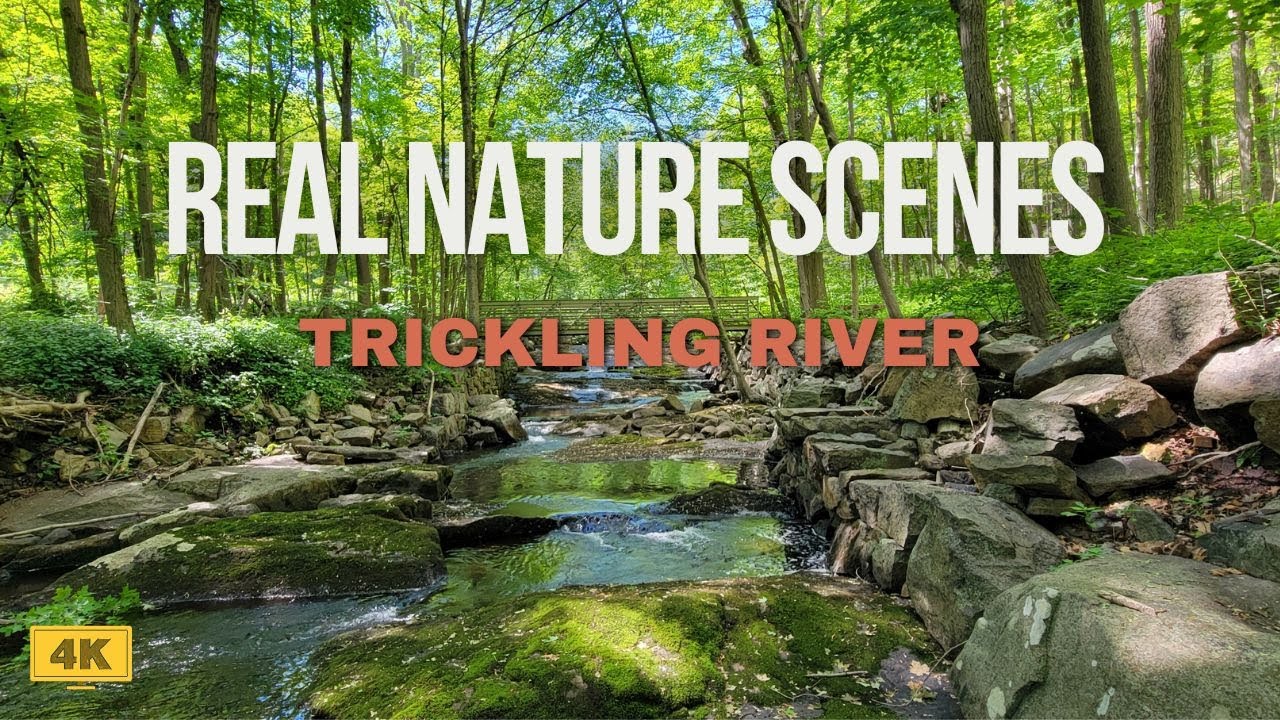 4K Tricking River - Natural River Sounds - Water Falls - YouTube