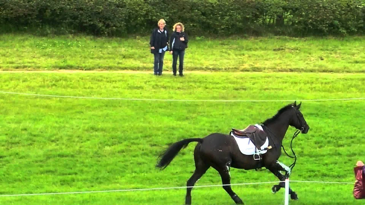 Fiona Read & Estrada take a tumble at Barbury International Horse ...