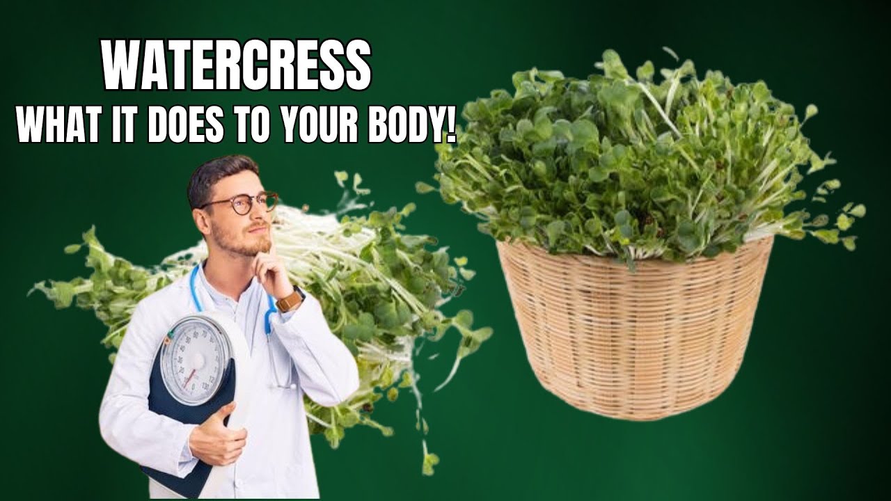 What Happens to Your Body When You Eat Watercress, the 'World's ...