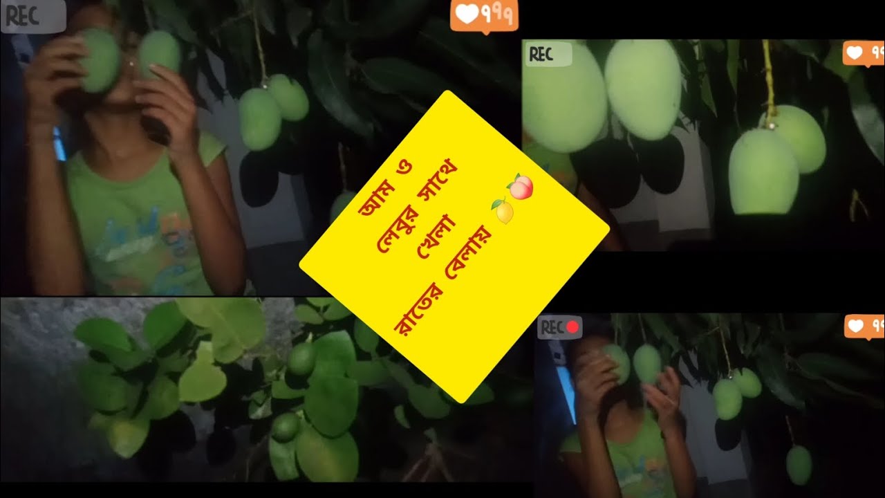 Mango/ Mausami Tree 🍋🍑।। - YouTube