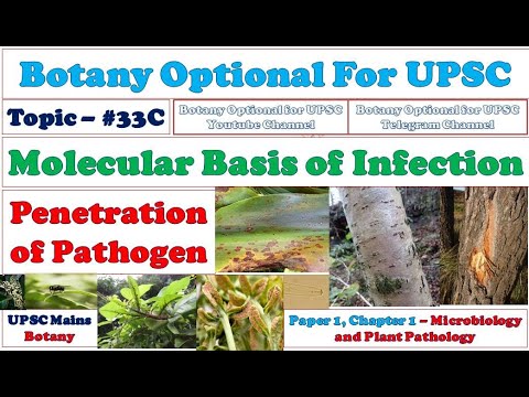 Penetration of Pathogen: Molecular Basis of Infection: Plant Pathology ...