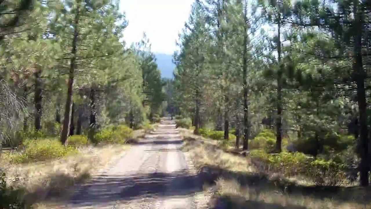 Bizz Johnson Marathon on MarathonJourney v2.5 using Jeff Galloway's Run ...