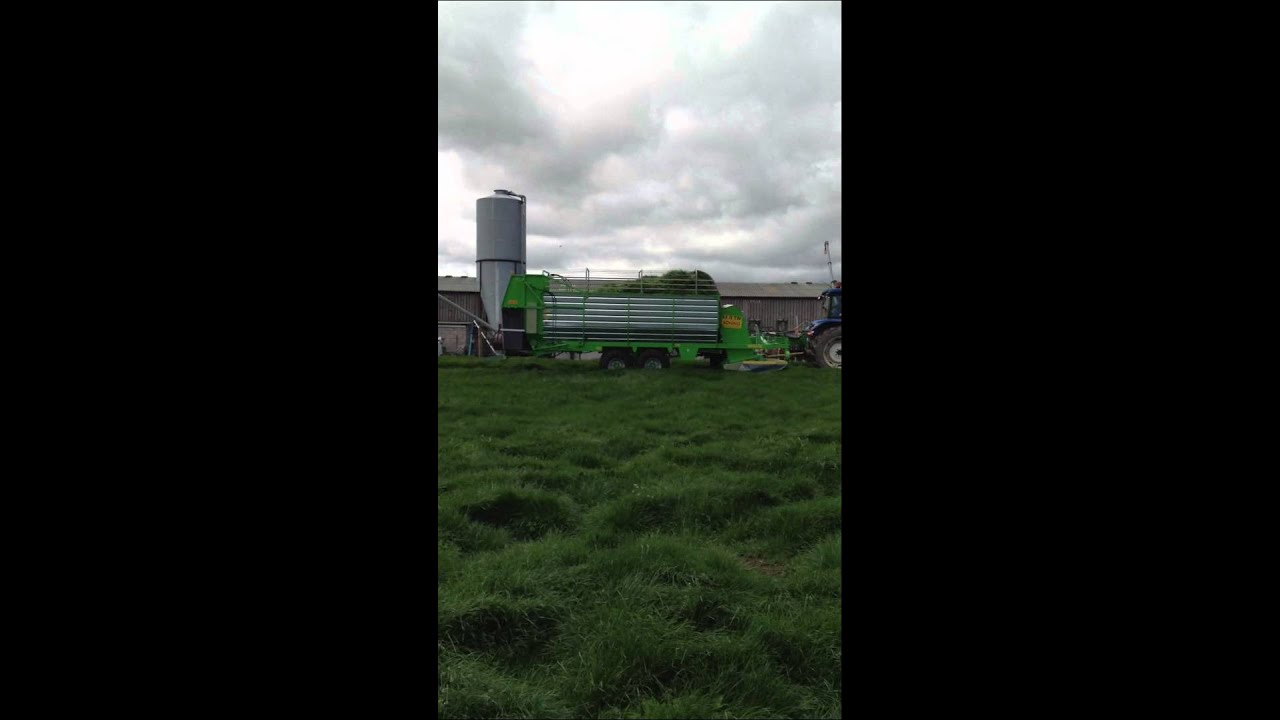 Green Forage Zero Grazing - Stage 1 - YouTube