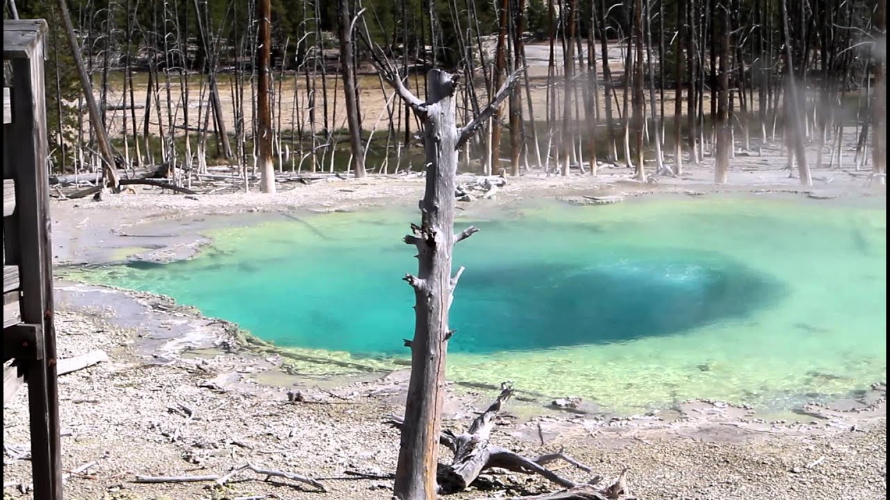 Yellowstone National Park - bright blue pool - YouTube