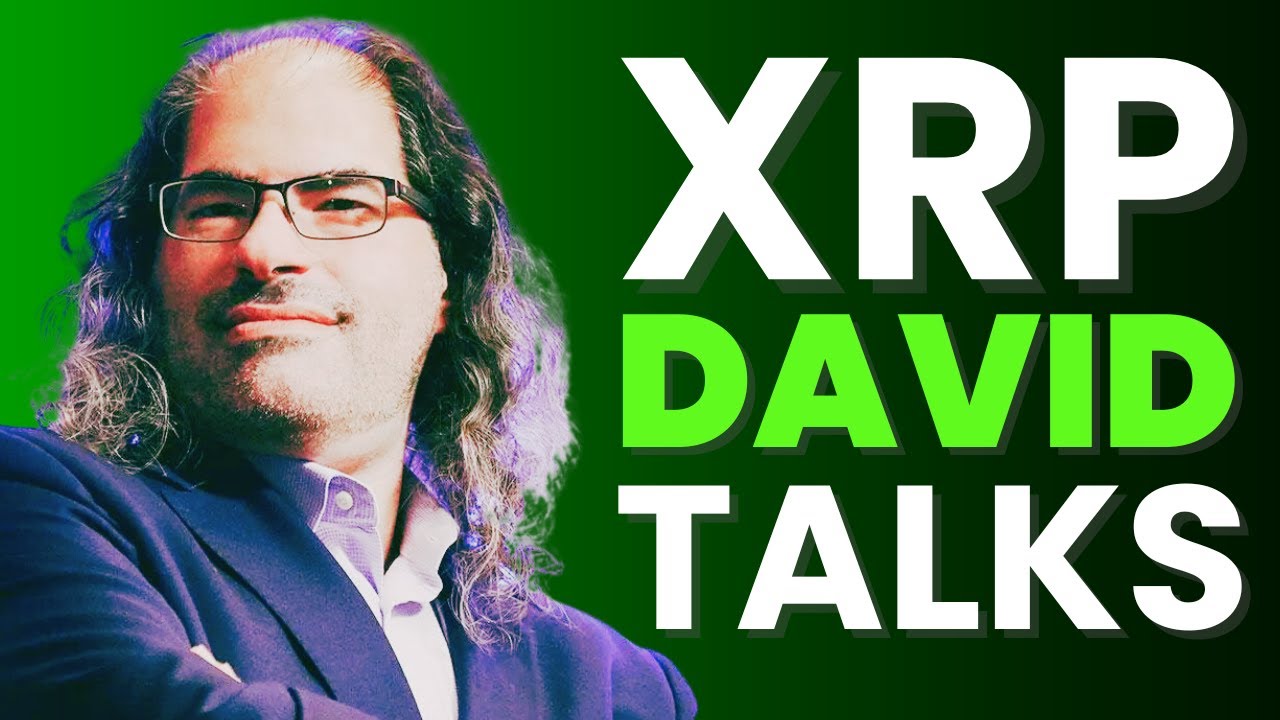 David Speaks On Ripple / XRP 👀 - YouTube