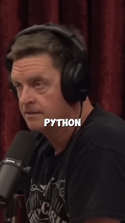 Hunting Pythons for Money 🐍 Joe Rogan Discuss! #shorts #joerogan # ...