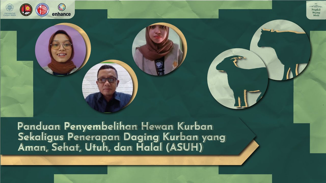 Panduan Penyembelihan Hewan Kurban dan Penerapan Daging Kurban Aman ...