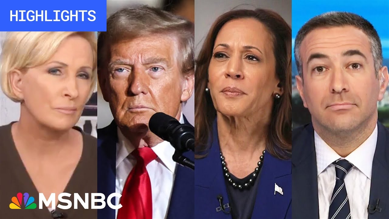 Countdown to the 2024 election: Day 14 | MSNBC Highlights - YouTube