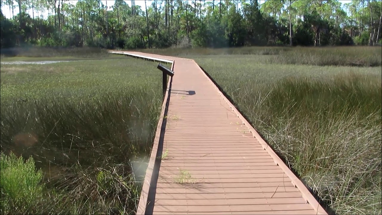 Shell Mounds at Cedar Key, Florida - YouTube