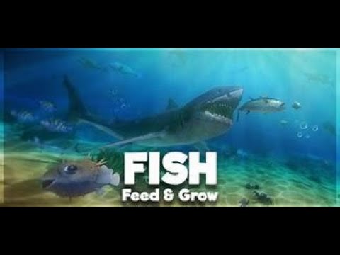 feed and grow fish smallest predator - YouTube