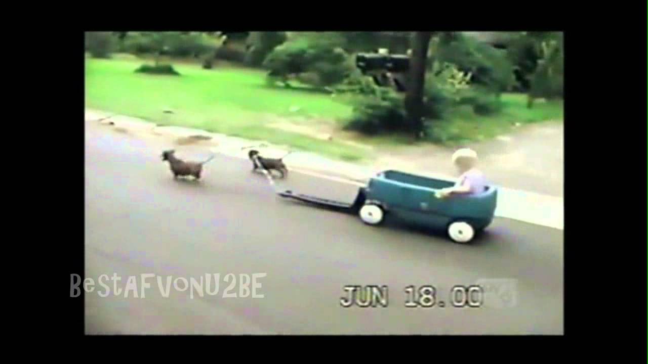 ☺ AFV Part 108 (NEW!) America's Funniest Home Videos 2012 (Funny Videos ...