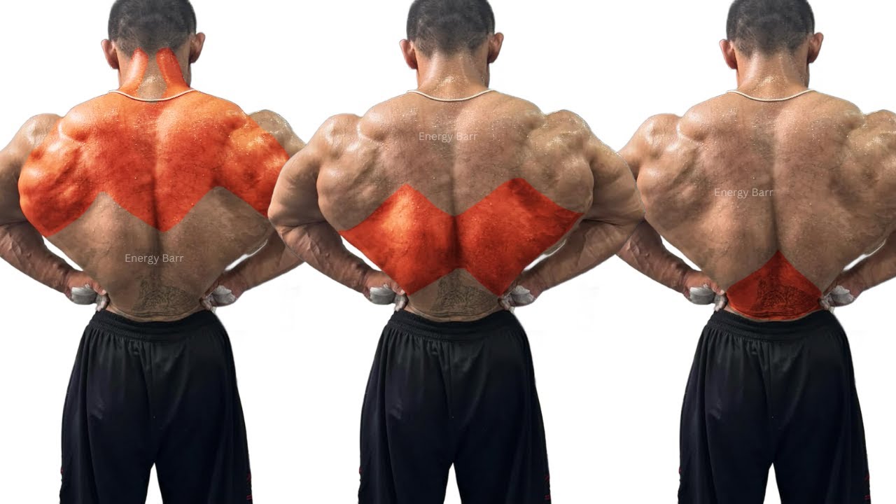 HOW TO GROW YOUR BACK WIDER AND SOLID | FOLLOW THESE EXERCISES - YouTube