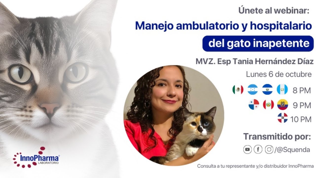 Manejo ambulatorio y hospitalario del gato inapetente – MVZ Esp. Tania ...