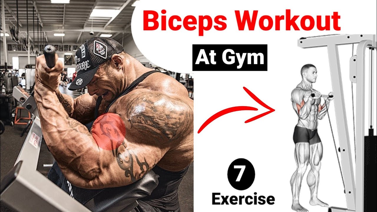 How To Build Your Biceps workout Fast (7 Effective Gym workout) - YouTube