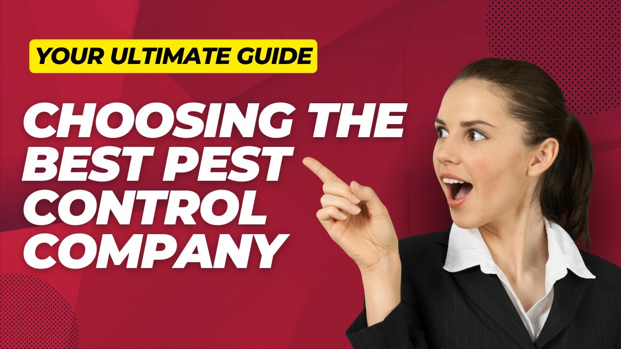 Pest Control Companies - YouTube