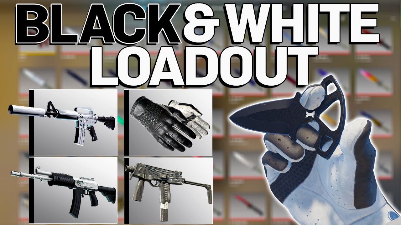 The BEST BLACK and WHITE Themed CS2 Loadout! Cheap & Expensive - YouTube