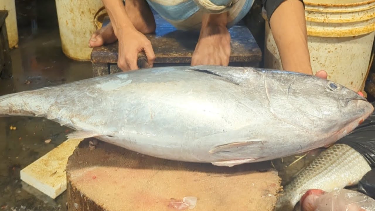 Amazing Giant Tuna Fish Cutting Skills In Bangladesh Local Fish Market ...