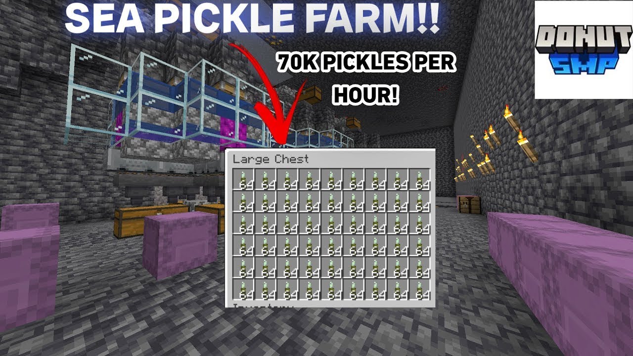 How to make a Sea Pickle Farm on the DONUTSMP! (One of the best money ...