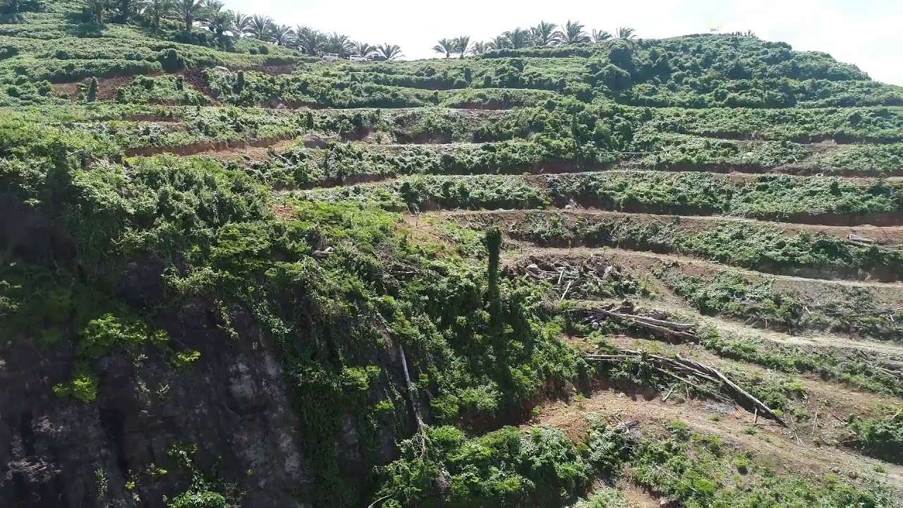 Gunung embun - YouTube