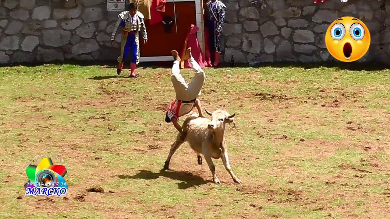 TORIL POMACOCHA 2021 - CORRIDAD DE TOROS - YouTube