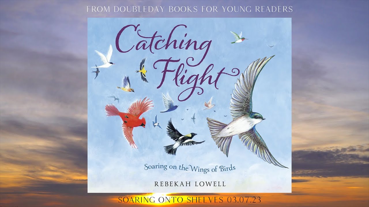 Catching Flight: Soaring on the Wings of Birds by Rebekah Lowell - YouTube