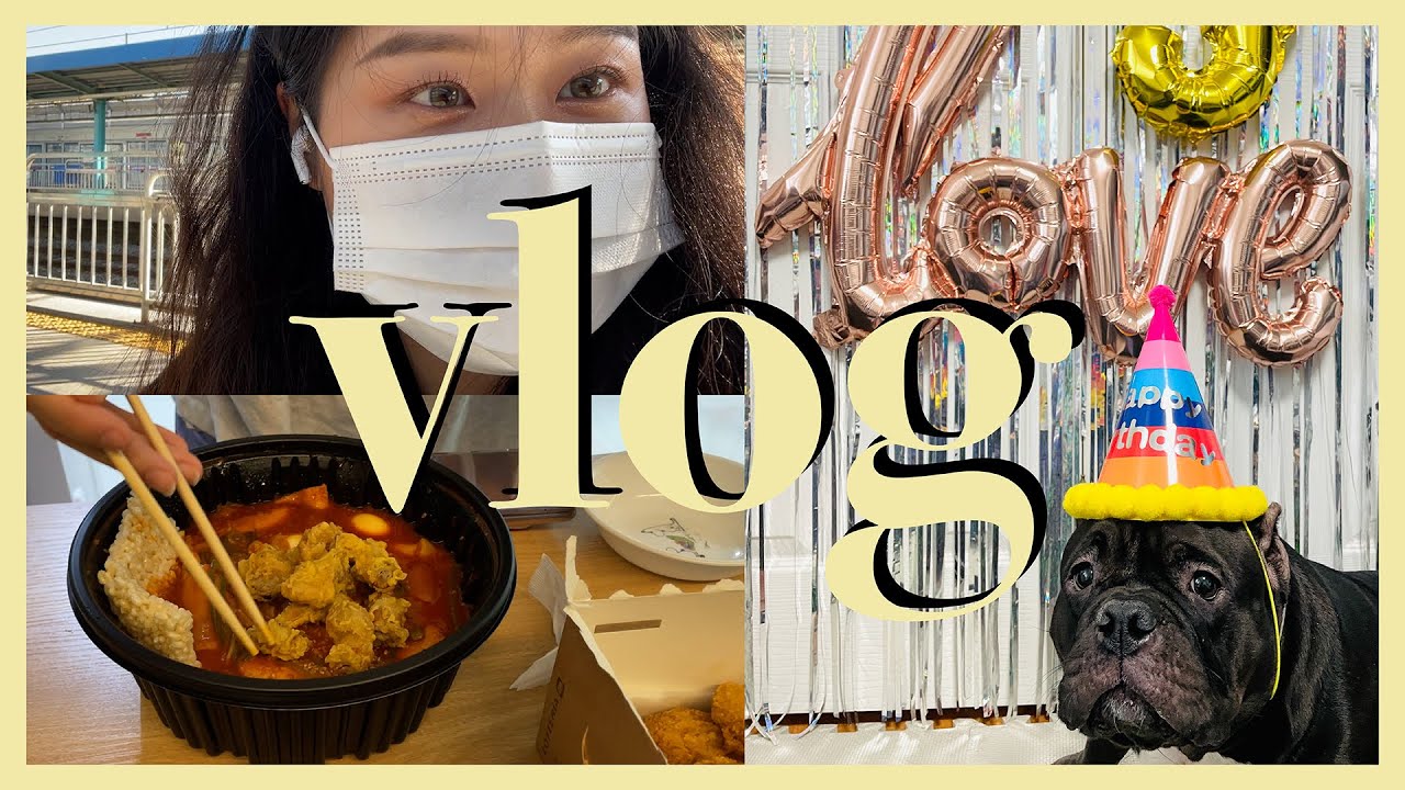 일상 브이로그 Vlog아메리칸 불리 요시 생일파티 준비하기 곱창 떡볶이 강아지 수제 케이크 만들기 다이소 용품으로 파티 준비