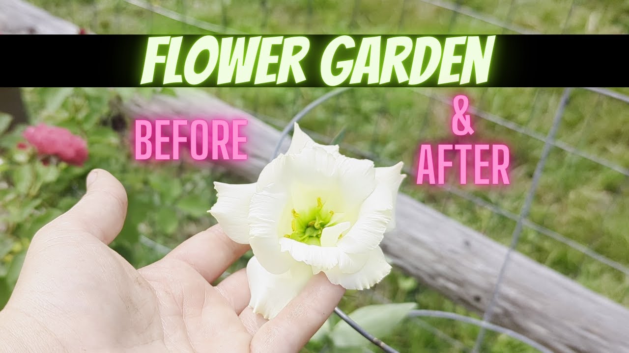 Witness the Beauty: Flower Garden Before & After - YouTube