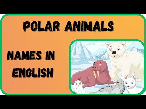 Names of Polar animals| North pole animals| South pole animals| animals ...