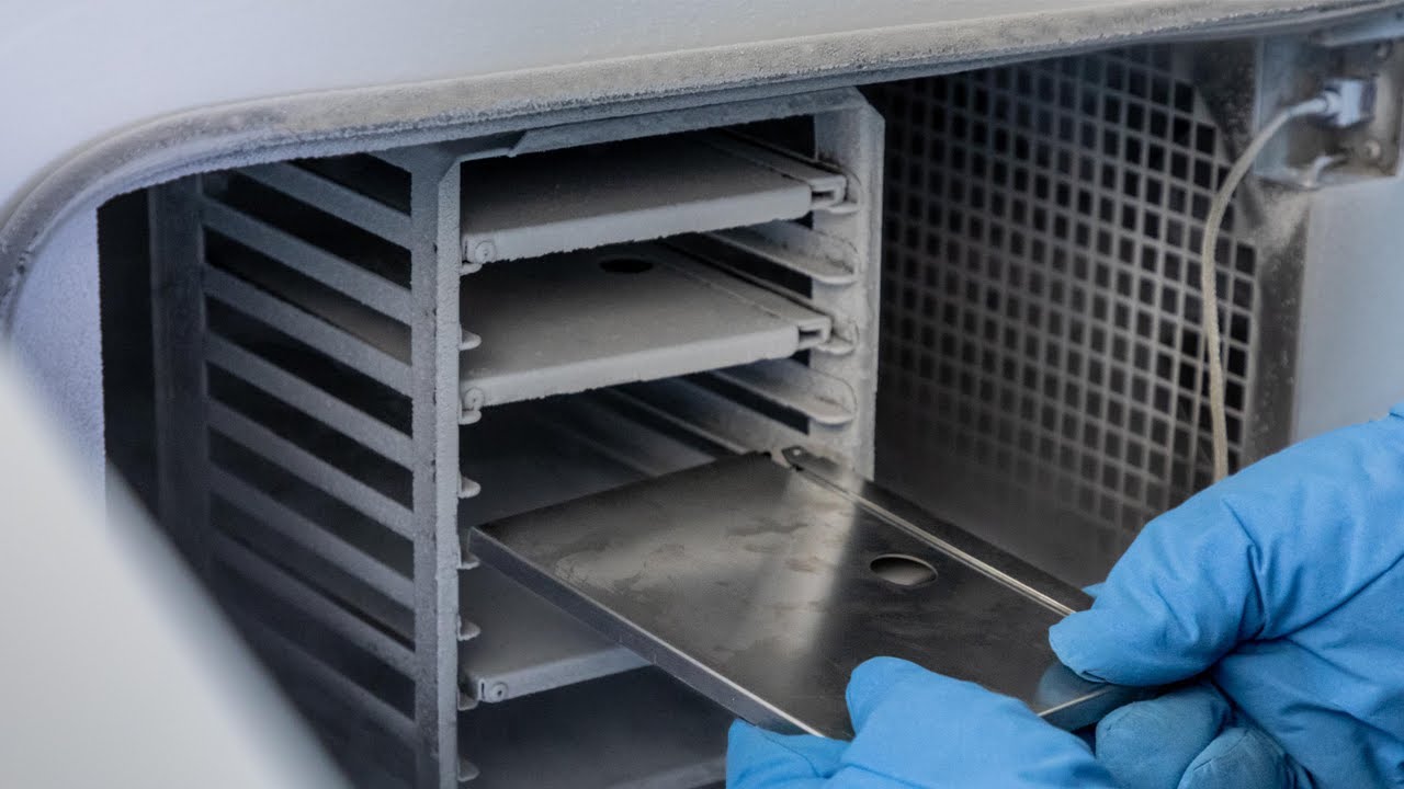 Charter Medical: Controlled-rate Freezing Studies - YouTube