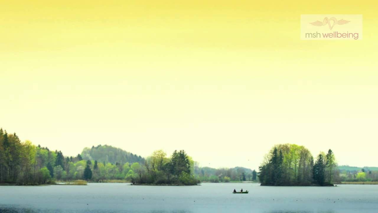 MSH - Meditation with Tracy Callaghan - YouTube