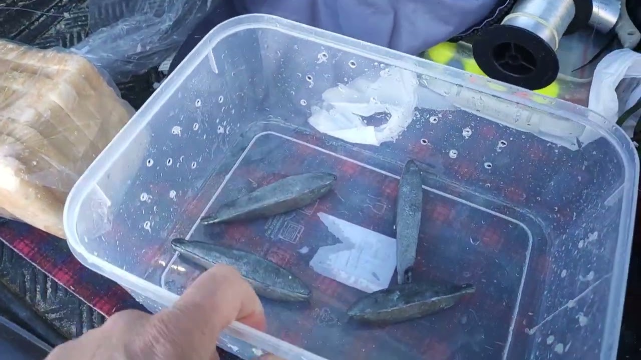 $4.50 Kmart container poddy mullet trap - YouTube