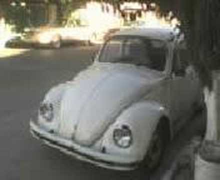 bocho q ruge