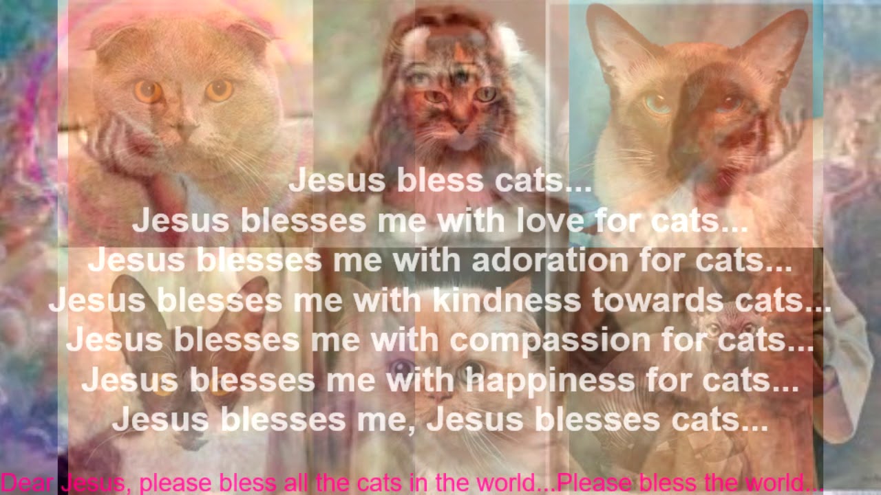 Jesus Bless Cats, Jesus Bless Me with Love for Cats SUBLIMINAL - YouTube