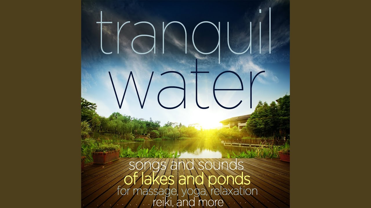 Birds Usher in Spring Storms - YouTube Music