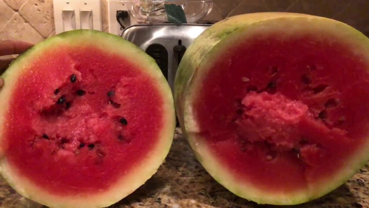 Cal Sweet Watermelon! 24 Pounds of Organic Deliciousness! - YouTube