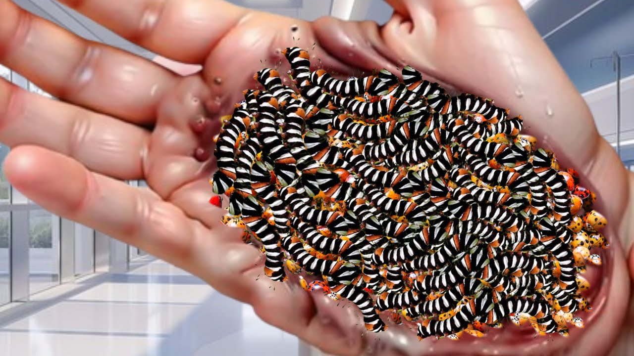 ASMR | Whispering calm treatment of hand palm |🤚 relax mood asmr ...