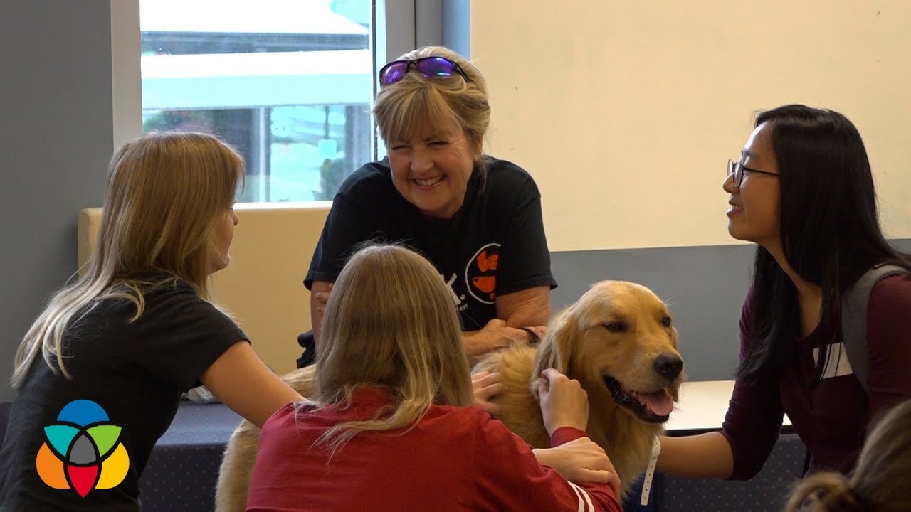 Canine program helps reduce stress in students - YouTube