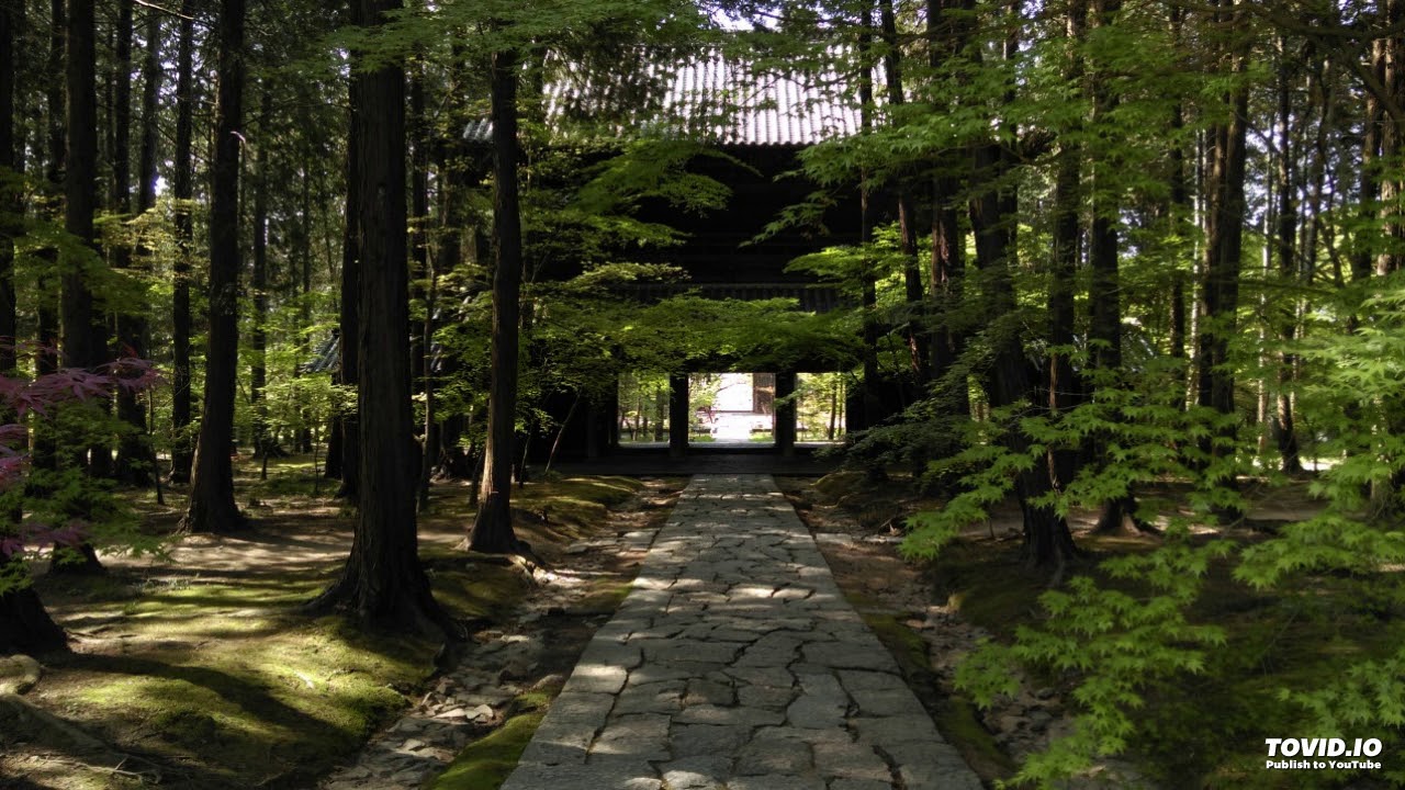 Zazen timer 25 minutes - YouTube