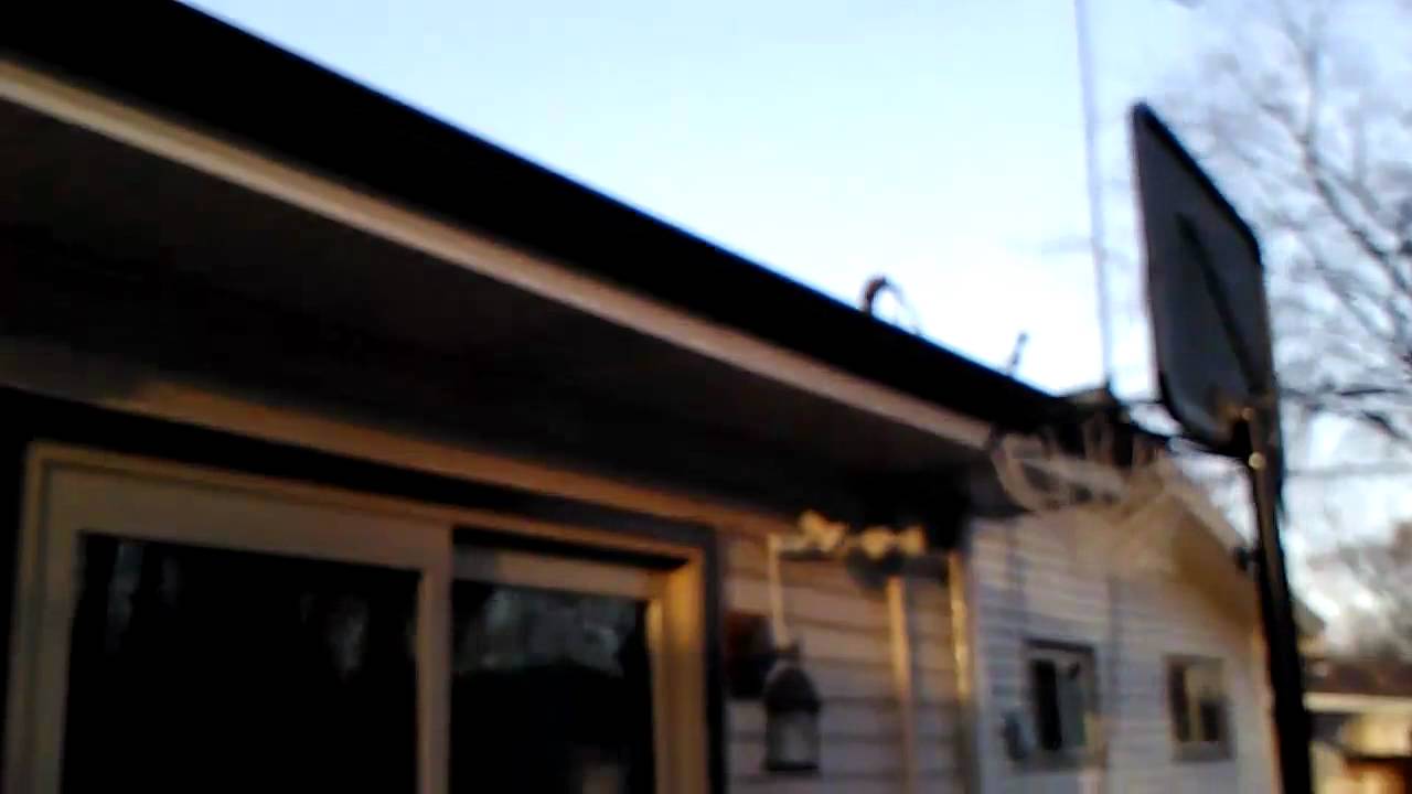 Behind the back, off the roof trick shot - YouTube