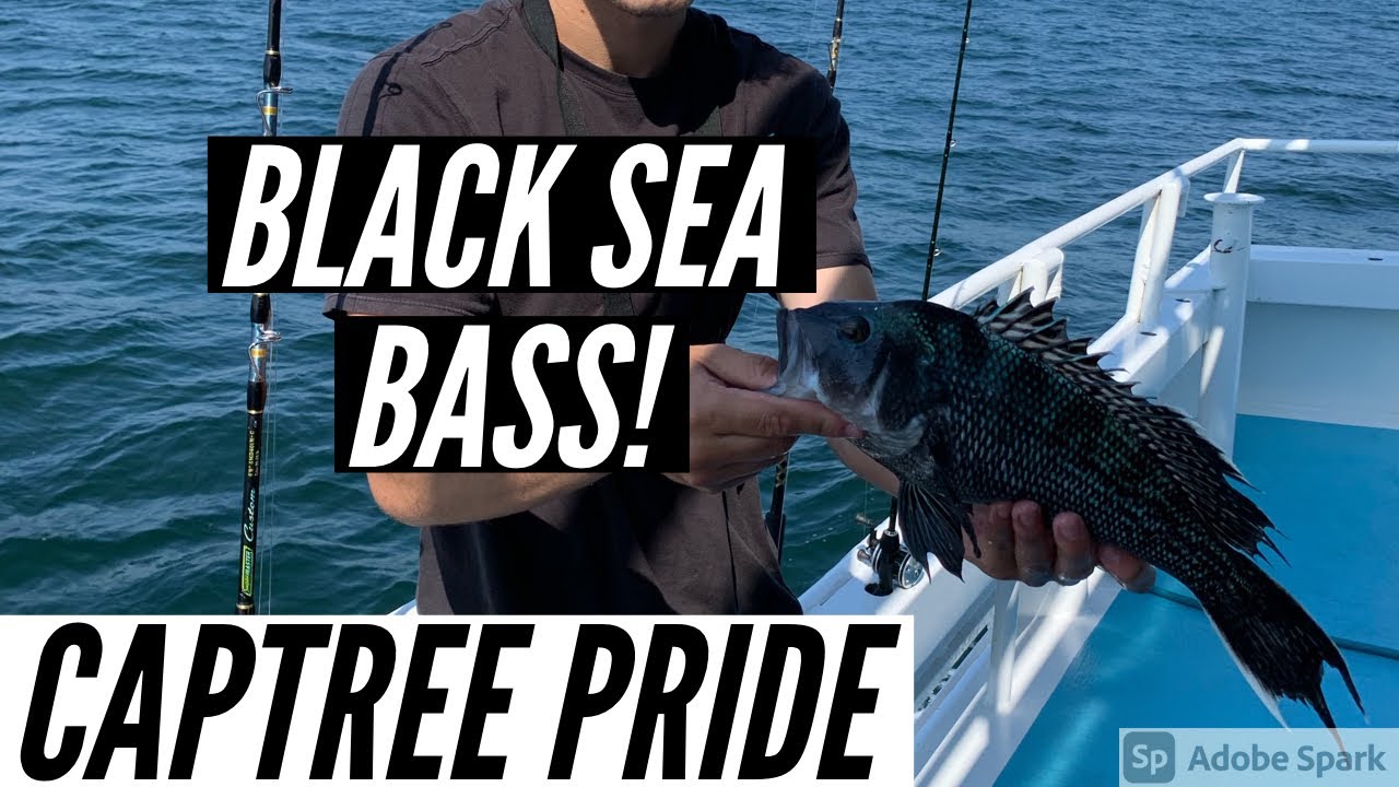 Ocean Black Sea Bass Fishing! Captree Pride, (Long Island, NY) - YouTube