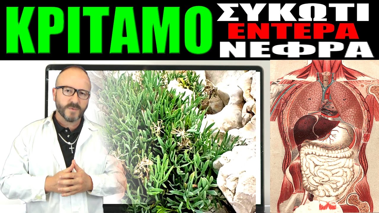 KΡΙΤΑΜΟ για ΣΥΚΩΤΙ - ΕΝΤΕΡΑ - ΝΕΦΡΑ😲🌿#herbs #υγεία #skaitvgr #βότανα # ...