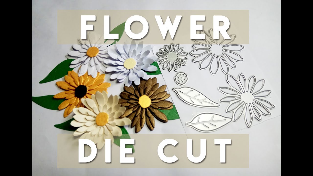 Daisy Die Cut Review | China Die Cut - YouTube