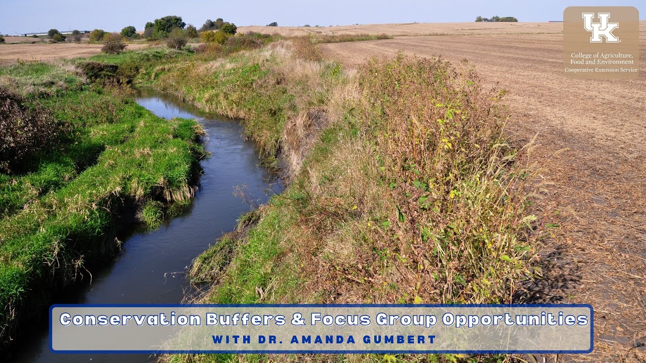 Conservation Buffers & Focus Groups - YouTube