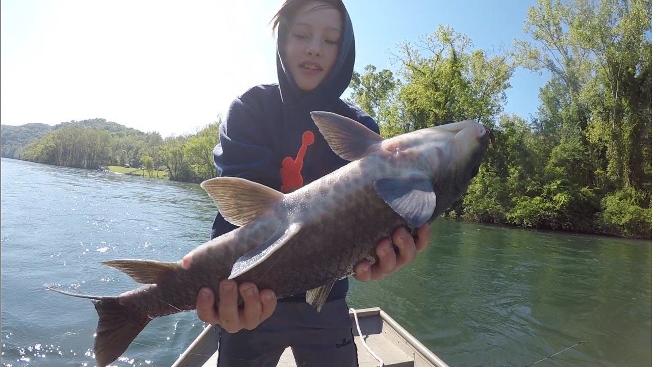 Trout Fishing East Tennessee- Jordans Biggest fish? Special guest ...