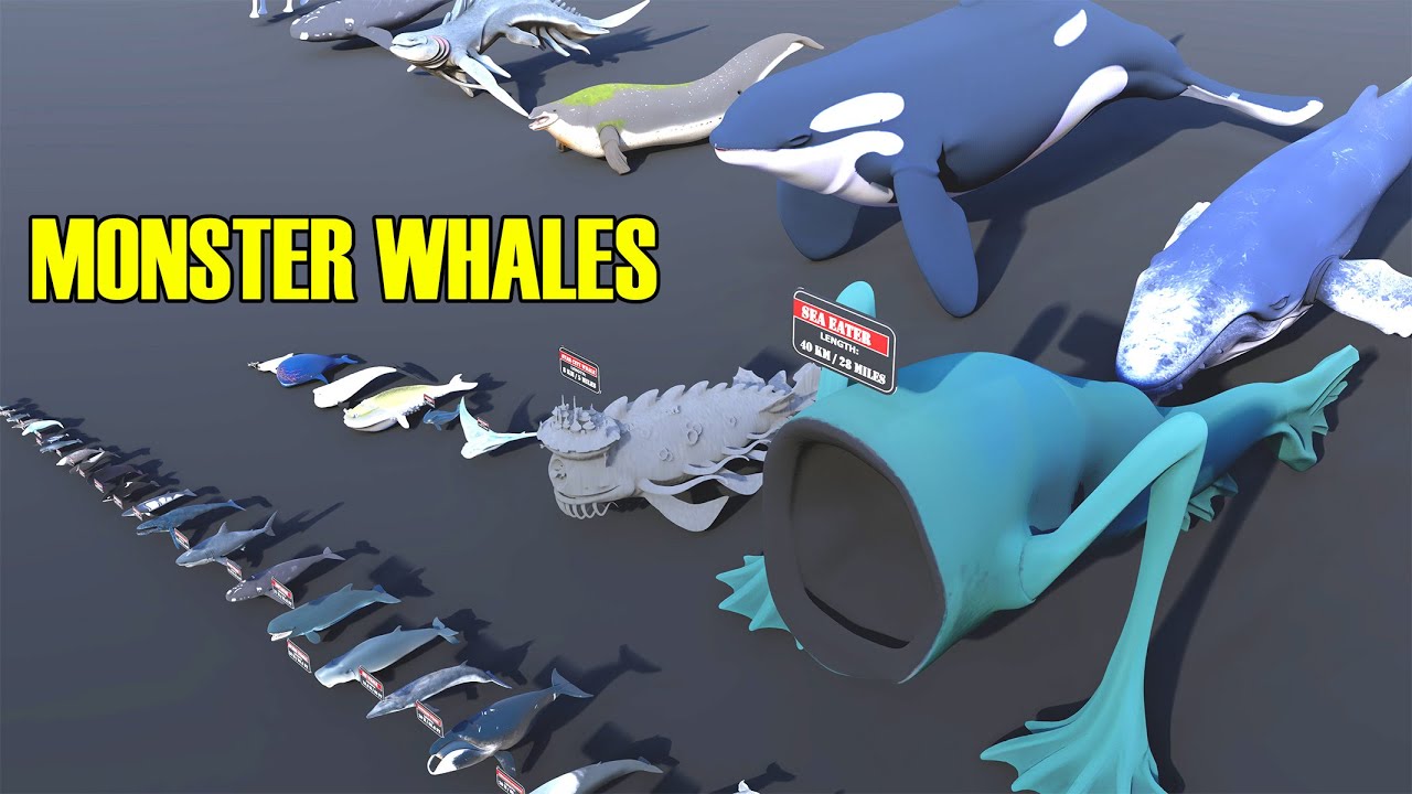 Epic Monster Whales Size Comparison 3D | Aircraft Whale vs Cosmic Whale ...