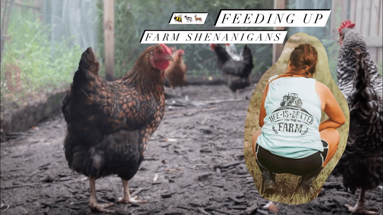 A whole bunch of FARM | FARM VLOG - YouTube