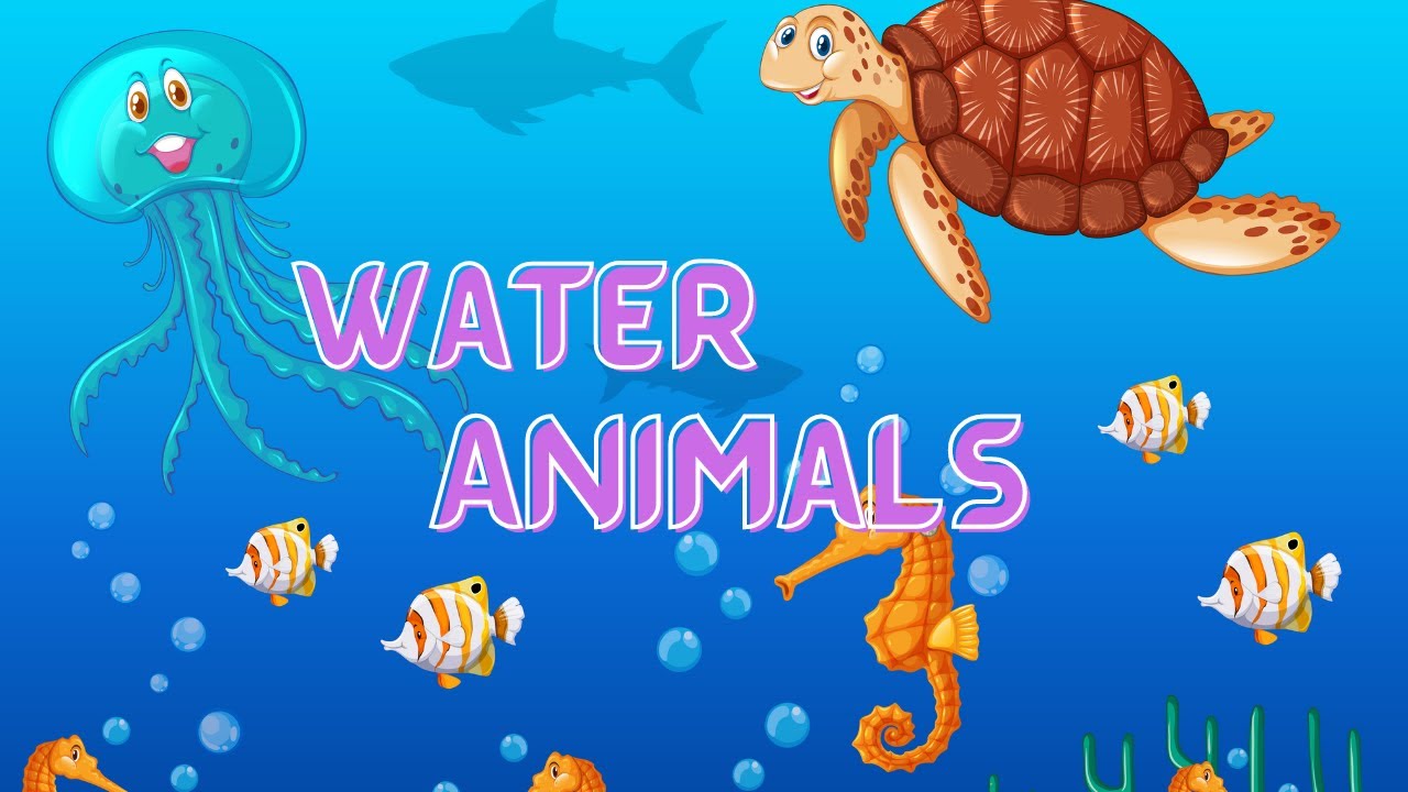 Learn water animals name with music and fun. - YouTube