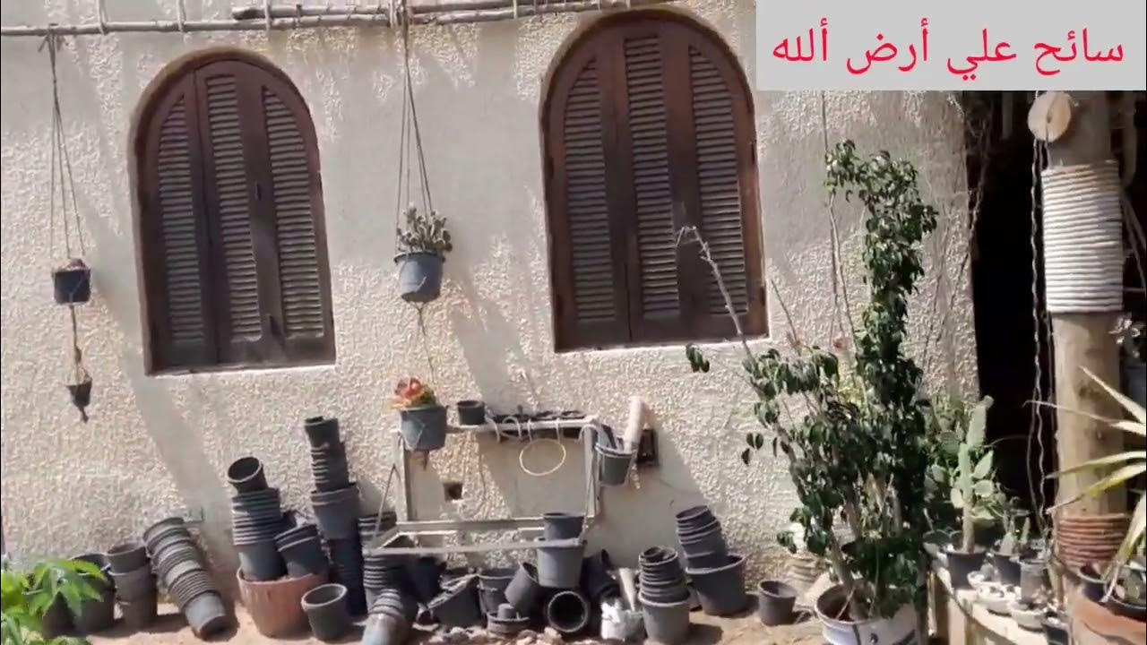 العبور جولة في مزرعة صابح في العبور و سوق الفاكهة في العبور 🍟🍪🍒🫒🍇🍎🍋🍋🍓🌴🌴👍 Youtube